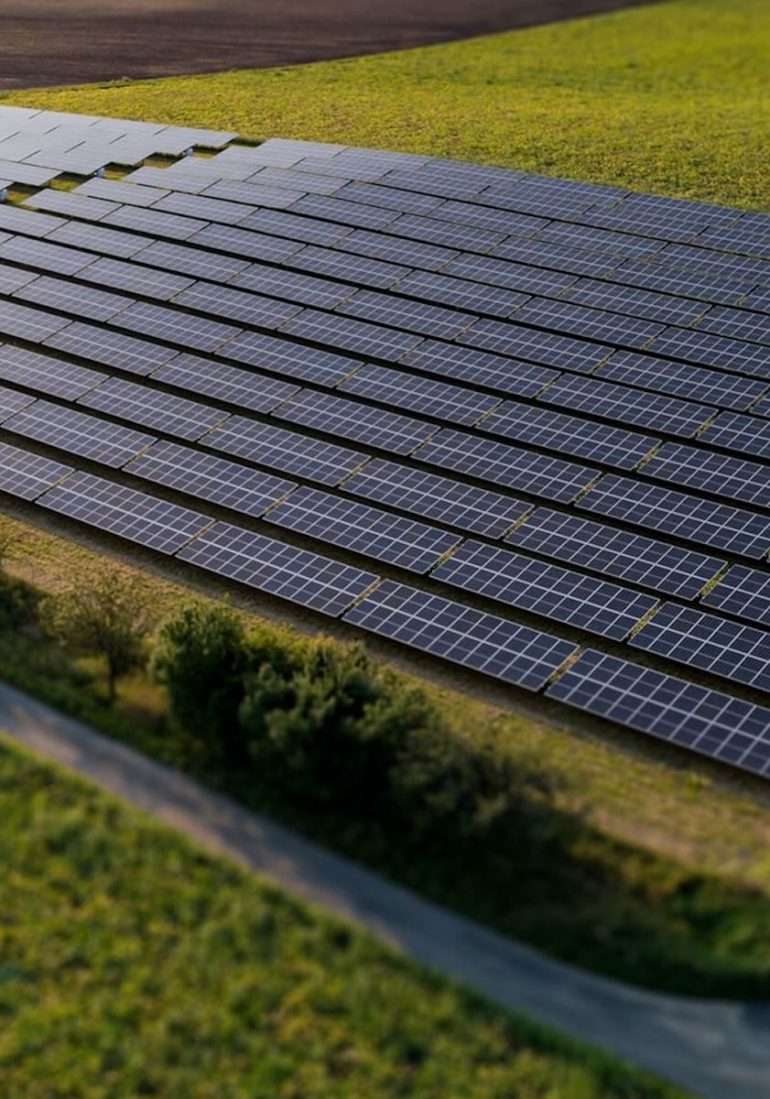 Seed Renewables