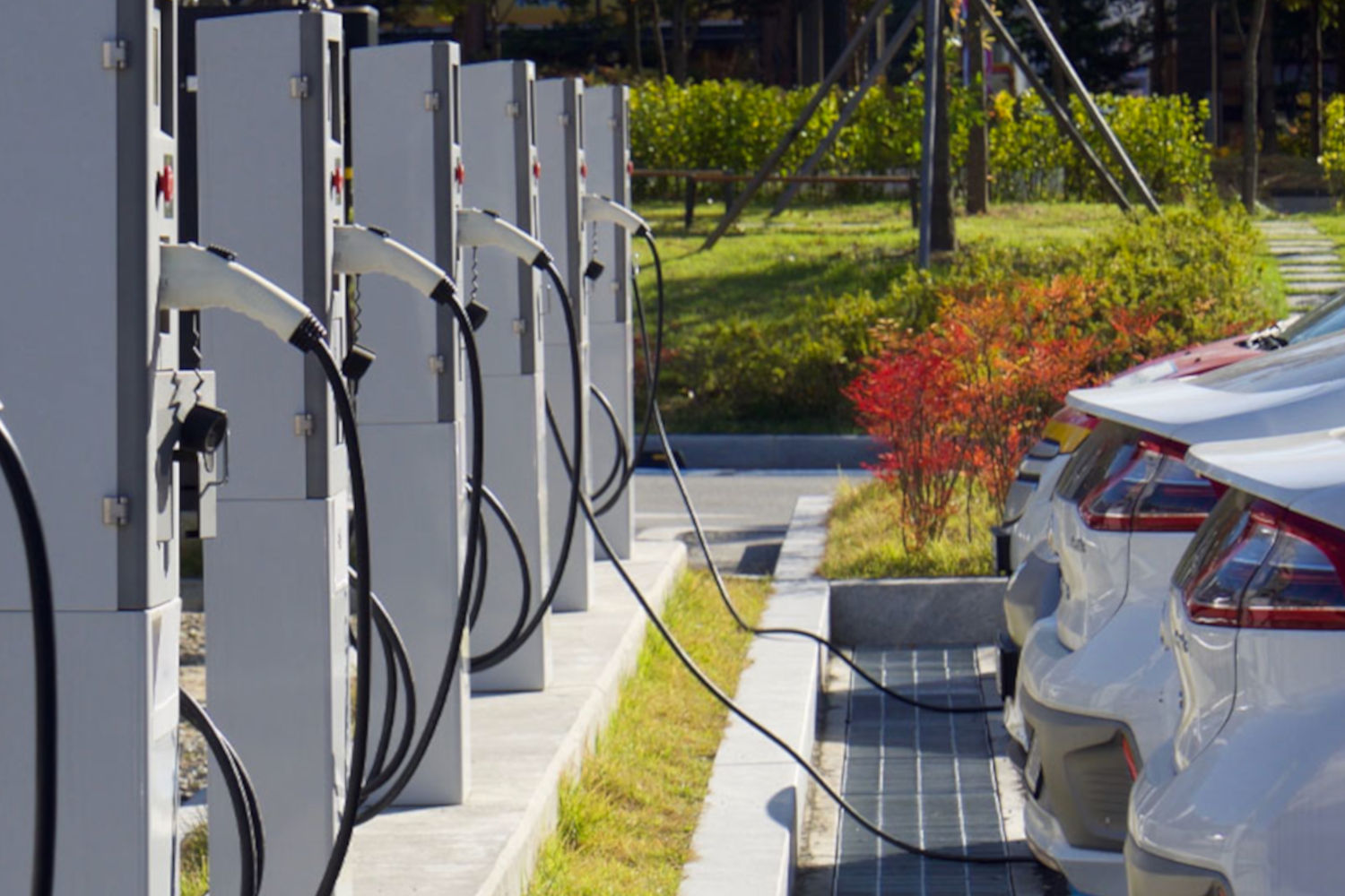 EV Charging - Seed Renewables